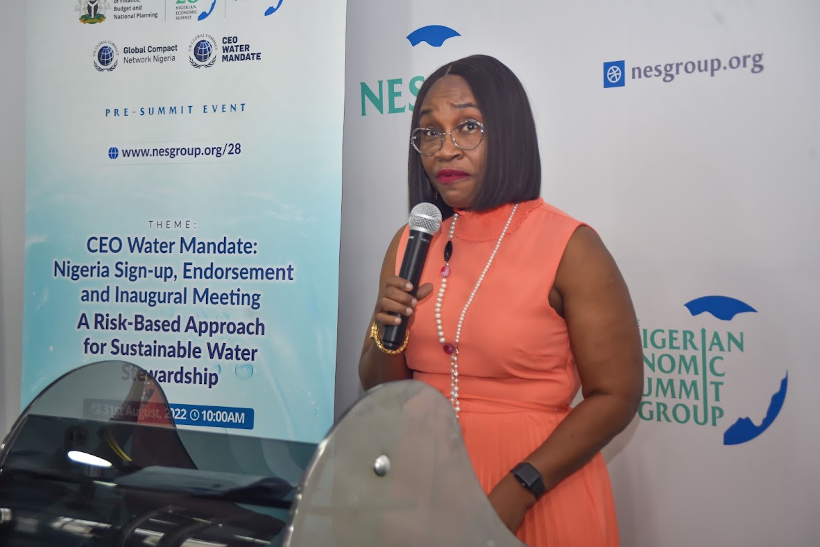 UN Global Compact Network Nigeria and the Nigerian Economic Summit Group (NESG) hold CEO Water ...