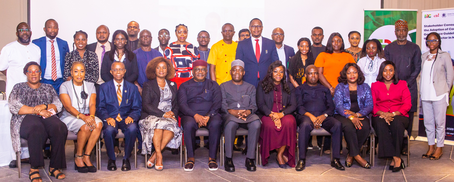 UN Global Compact Network Nigeria